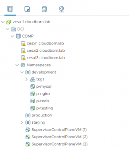 Tanzu Kubernetes Grid Cluster vs vSphere native Pods – vRaccoon