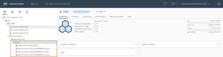 Tanzu Kubernetes Grid Cluster vs vSphere native Pods – vRaccoon